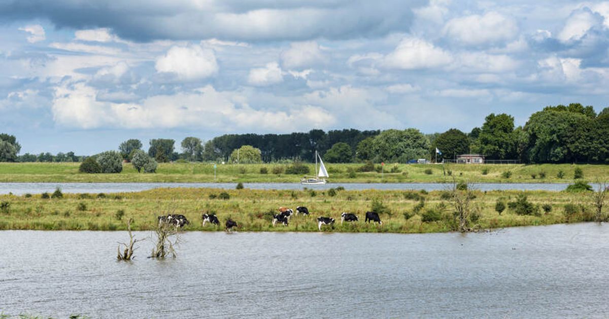 National Water Programme 2022- 2027 | Magazines ministerie van IenW